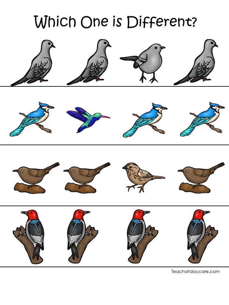 30 Printable Preschool Birds Learning Games Download. Games | Etsy
