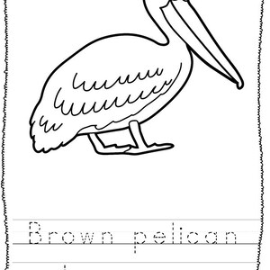 50 Printable State Birds Color Worksheets. Preschool and Kindergarten ...