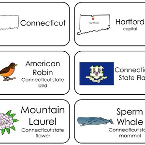 300 State Symbols Printable Flashcards. State, Capital, Flower, Mammal ...