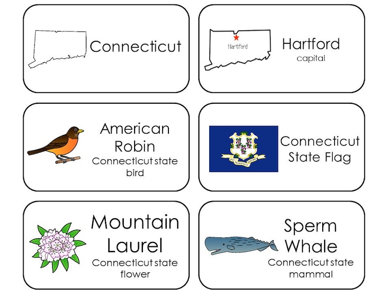 State Symbols Flashcards, US States, Capital, Flower, Bird (printable ...