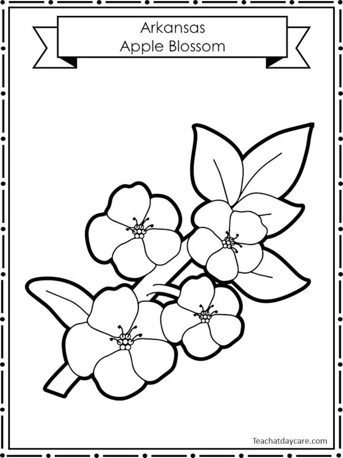 50 Printable State Flower Color Worksheets. Preschool and | Etsy