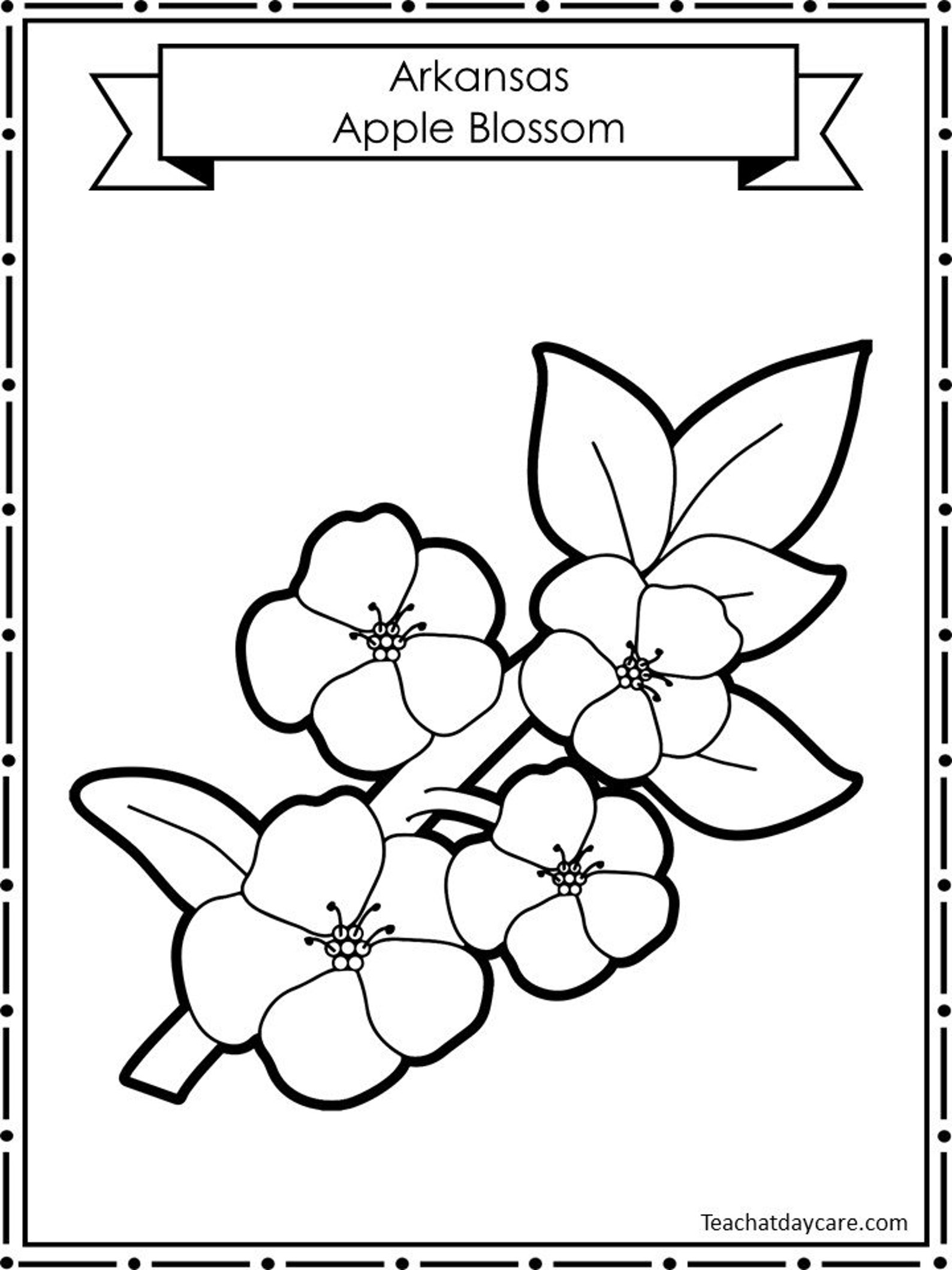 50 Printable State Flower Color Worksheets. Preschool and - Etsy