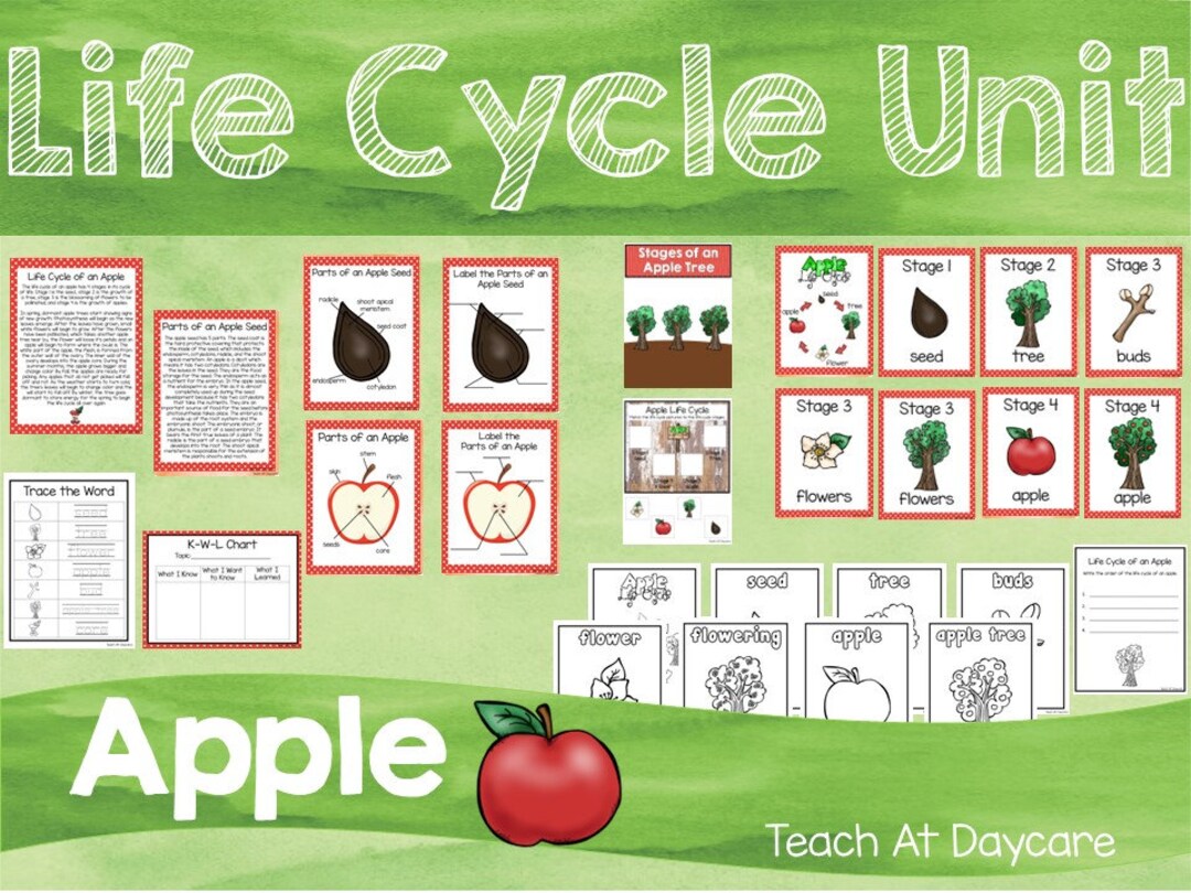 Life Cycle of an Apple Science Curriculum Unit. Worksheets, Activities ...