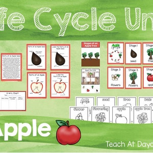 Life Cycle of an Apple Science Curriculum Unit. Worksheets, Activities ...