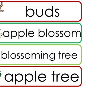 Apples Single Week Themed Word Wall Set. Classroom Bulletin Board ...