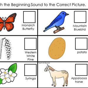 30 Idaho State Symbols Themed Learning Games Download. ZIP File ...