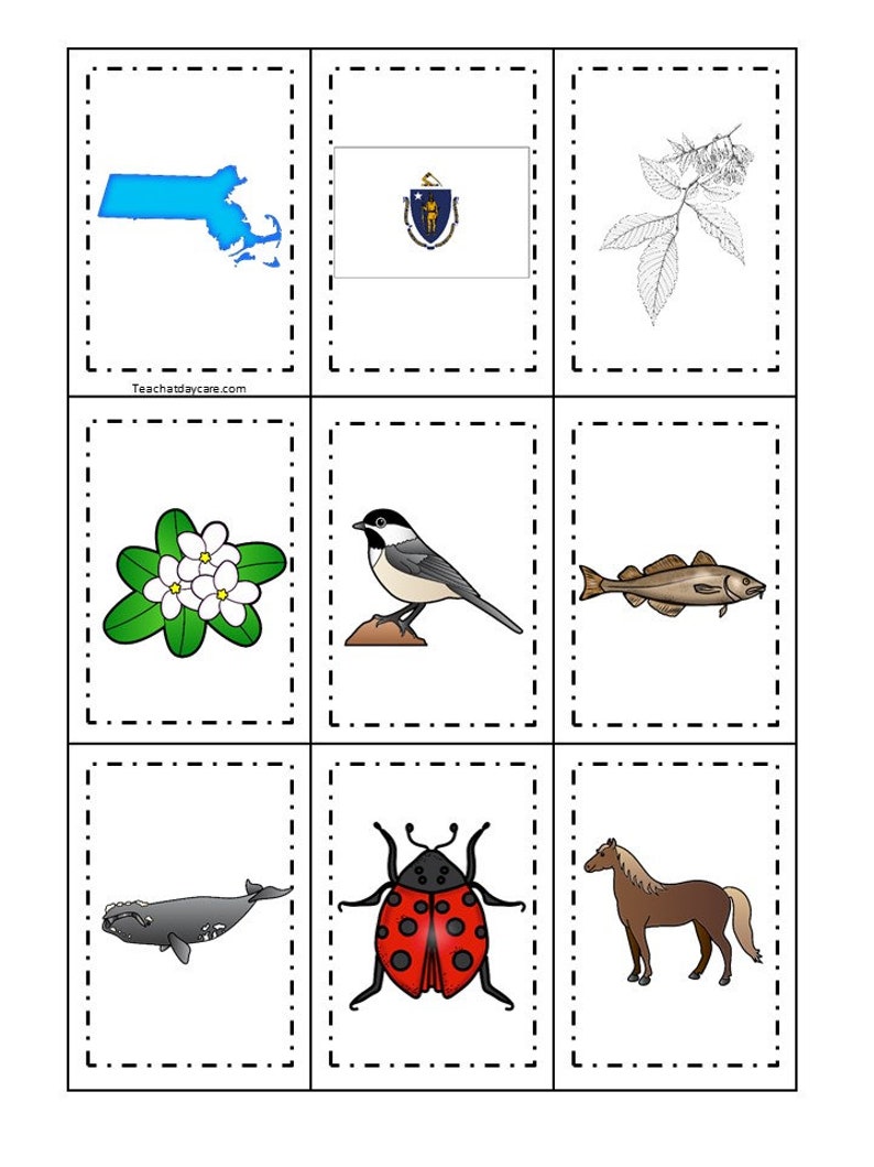 30 Massahcusetts State Symbols Themed Learning Games Download. - Etsy