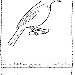 50 Printable State Birds Color Worksheets. Preschool and Kindergarten ...
