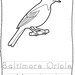 50 Printable State Birds Color Worksheets. Preschool and Kindergarten ...