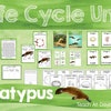 Life Cycle of a Platypus Science Curriculum Unit. Worksheets ...