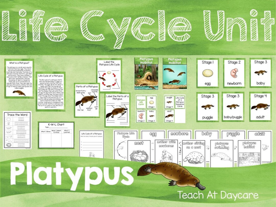 Life Cycle of a Platypus Science Curriculum Unit. Worksheets ...