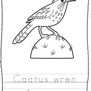 50 Printable State Birds Color Worksheets. Preschool and Kindergarten ...