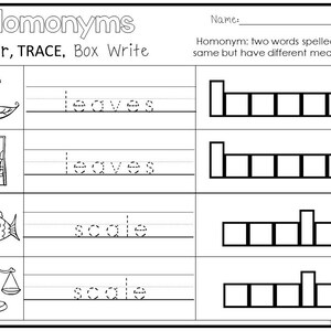 10 Printable Homonyms Color, Trace, Box Write Worksheets. 1st-2nd Grade ...