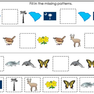 30 South Carolina State Symbols Themed Learning Games Download. ZIP ...
