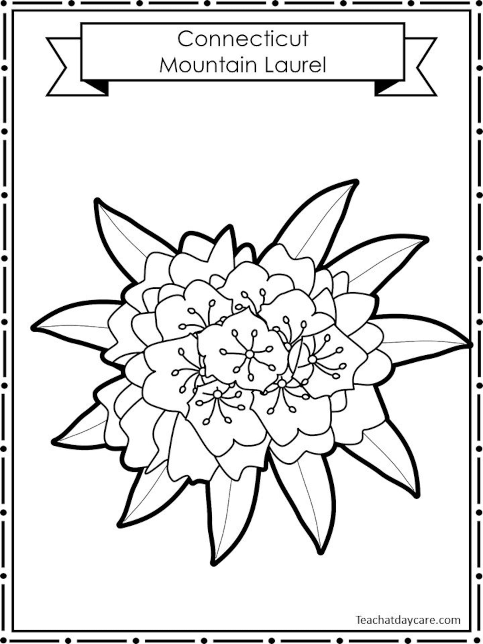 50 Printable State Flower Color Worksheets. Preschool and - Etsy