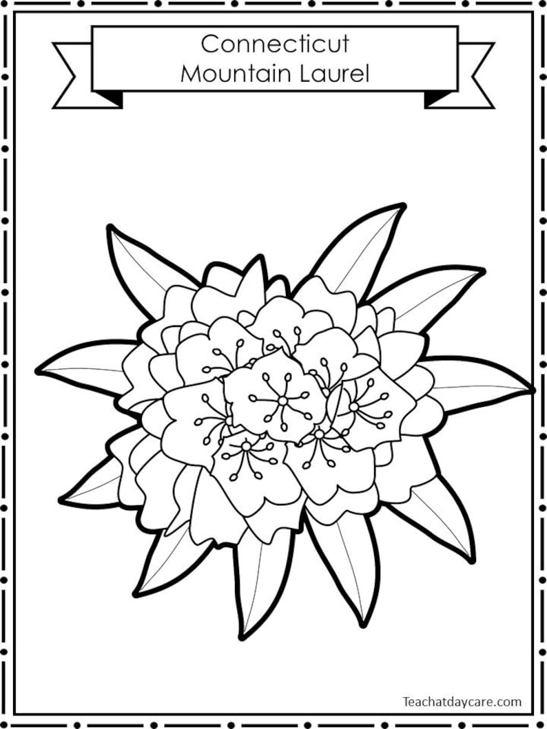 50 Printable State Flower Color Worksheets. Preschool and - Etsy