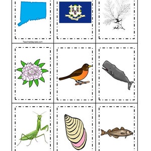 30 Connecticut State Symbols Themed Learning Games Download. ZIP File ...