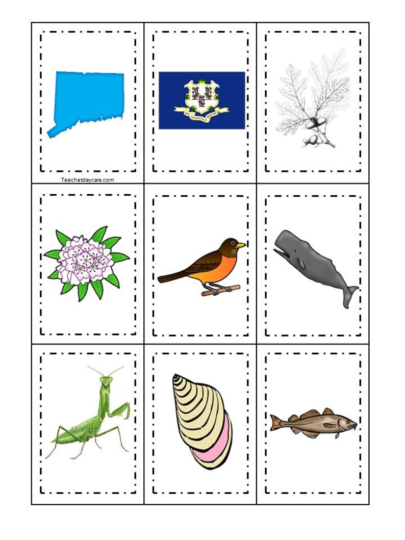 30 Connecticut State Symbols Themed Learning Games Download. | Etsy