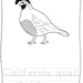 50 Printable State Birds Color Worksheets. Preschool and Kindergarten ...