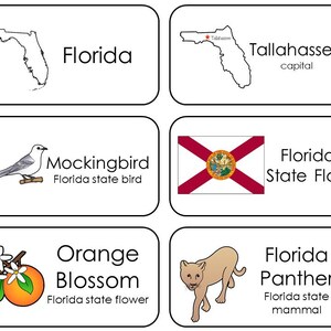 300 State Symbols Printable Flashcards. State, Capital, Flower, Mammal ...