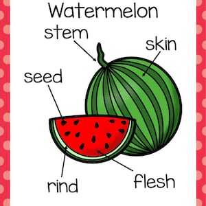 Life Cycle of a Watermelon Science Curriculum Unit. Worksheets ...