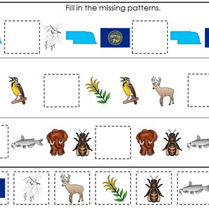 30 Nebraska State Symbols Themed Learning Games Download. ZIP File ...