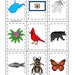30 West Virginia State Symbols Themed Learning Games Download. ZIP File ...