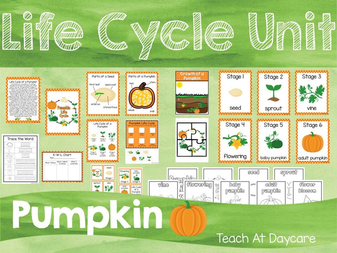 Life Cycle of a Pumpkin Science Curriculum Unit. Worksheets, Activities ...
