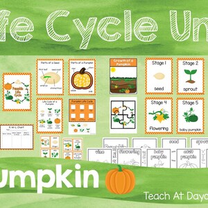 Life Cycle of a Pumpkin Science Curriculum Unit. Worksheets, Activities ...