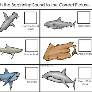 30 Sharks Printable Preschool Educational Games Download. Games and ...