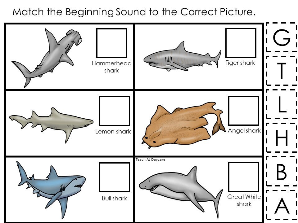 30 Sharks Printable Preschool Educational Games Download. Games and ...