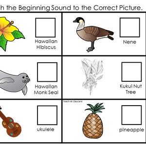 30 Hawaii State Symbols Themed Learning Games Download. ZIP File ...