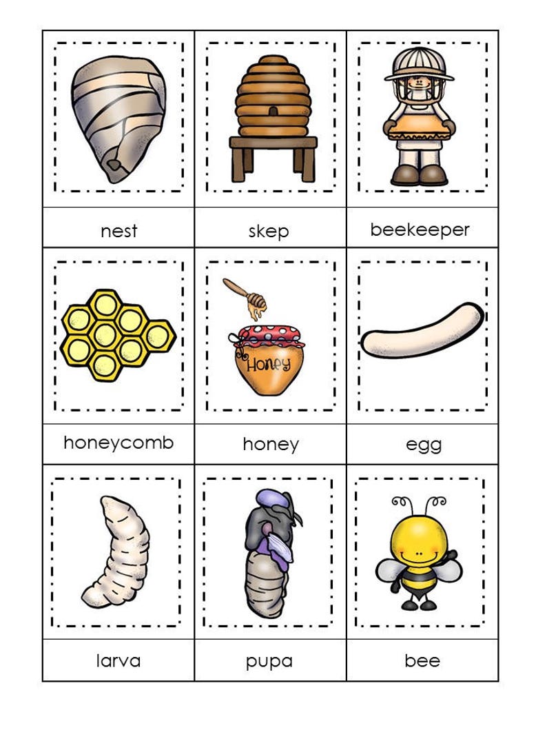 30 Honey Bee Preschool Learning Games Download. Games and - Etsy