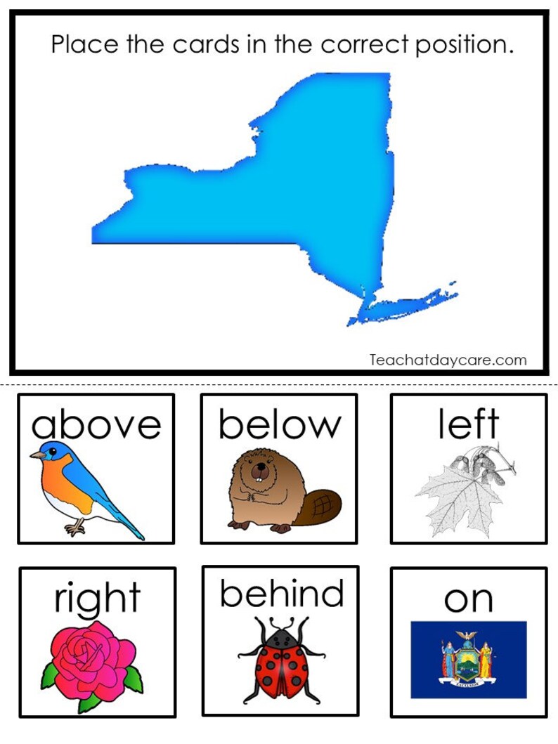 30 New York State Symbols Themed Learning Games Download. ZIP | Etsy