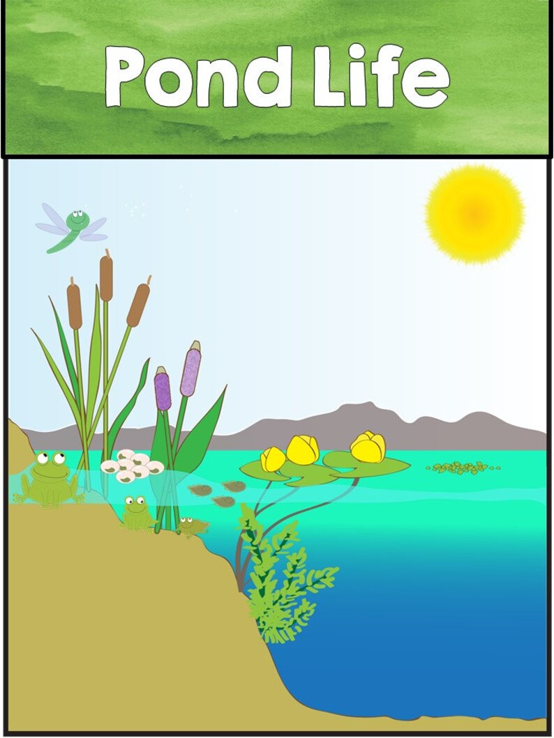 Life Cycle of a Frog Science Curriculum Unit. Worksheets, Activities ...
