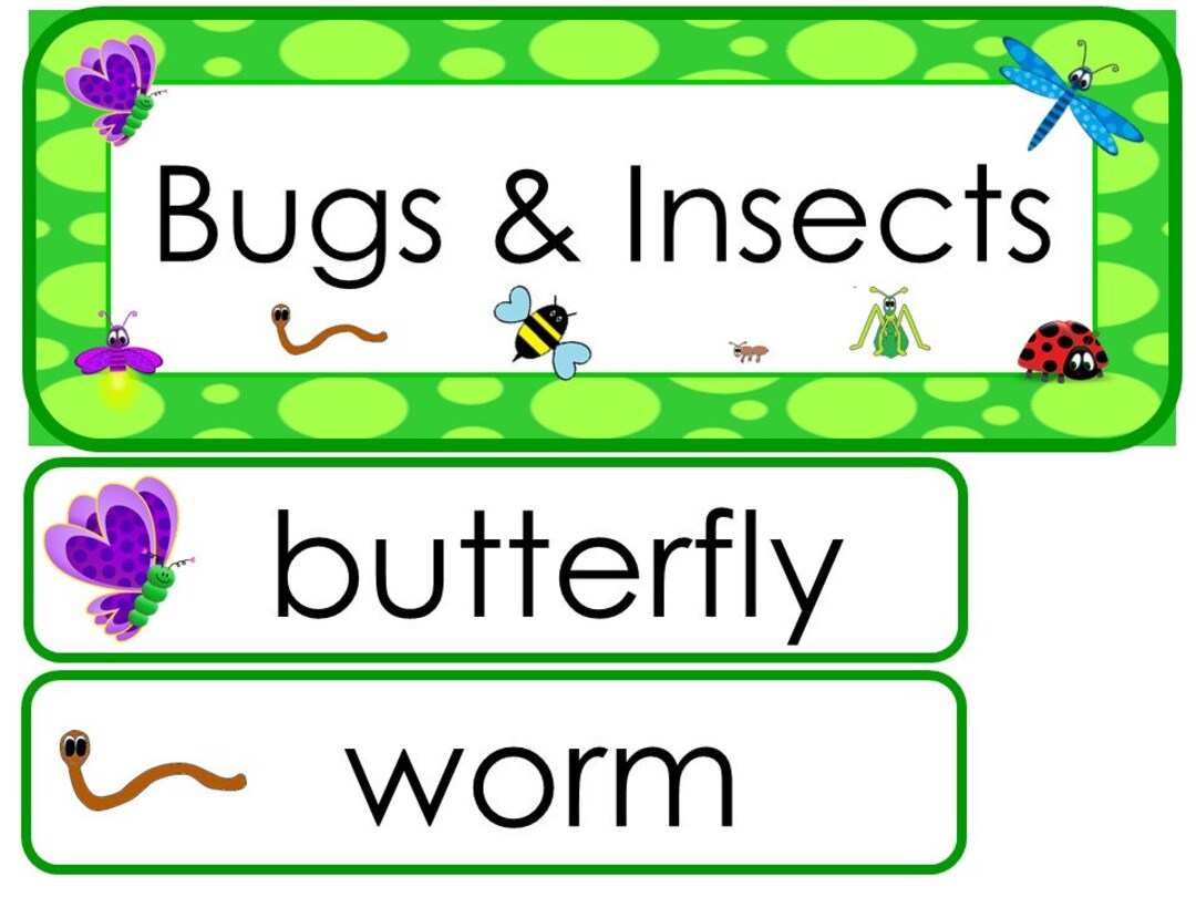 Bugs and Insects Single Week Themed Word Wall Set. Classroom Bulletin ...