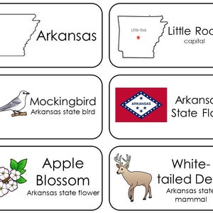 300 State Symbols Printable Flashcards. State, Capital, Flower, Mammal ...