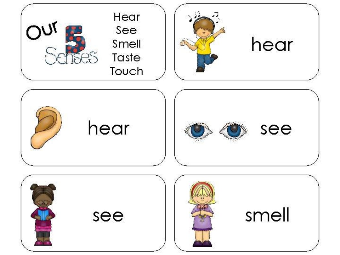 11 Five Senses Beginning Stages Quick Reference Flashcards. Daycare-1st ...