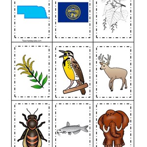 30 Nebraska State Symbols Themed Learning Games Download. ZIP File ...