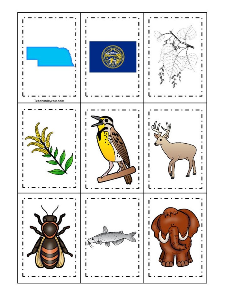 30 Nebraska State Symbols Themed Learning Games Download. ZIP - Etsy