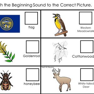 30 Nebraska State Symbols Themed Learning Games Download. ZIP File ...