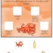 Life Cycle of an Octopus Science Curriculum Unit. Worksheets ...