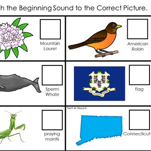 30 Connecticut State Symbols Themed Learning Games Download. ZIP File ...
