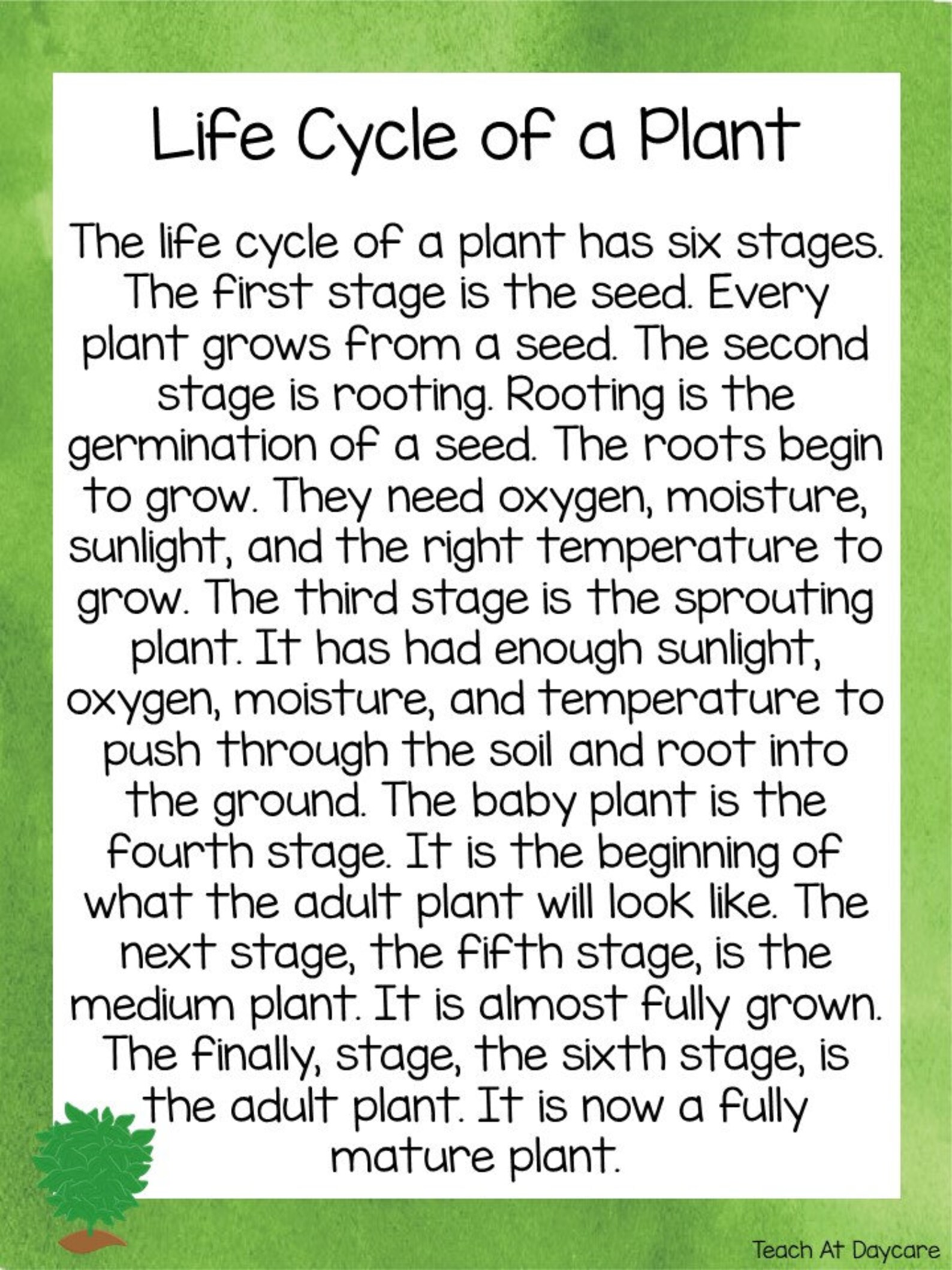 Life Cycle of a Plant Science Curriculum Unit. Worksheets, Activities ...