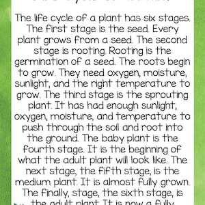 Life Cycle of a Plant Science Curriculum Unit. Worksheets, Activities ...