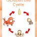 Life Cycle of an Octopus Science Curriculum Unit. Worksheets ...