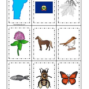 30 Vermont State Symbols Themed Learning Games Download. ZIP File ...