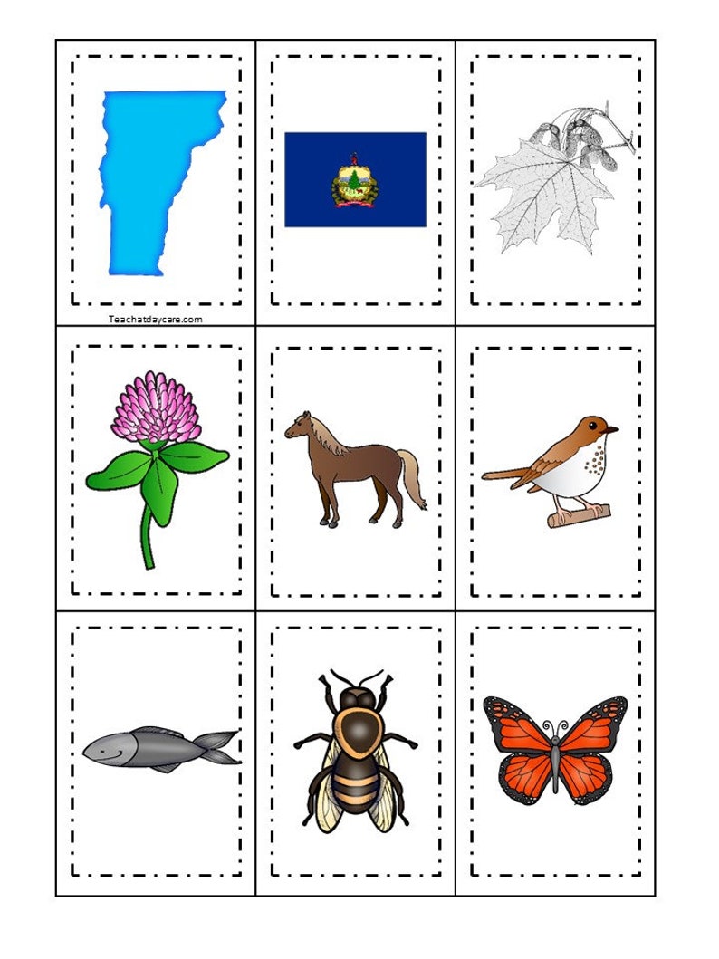30 Vermont State Symbols Themed Learning Games Download. ZIP - Etsy