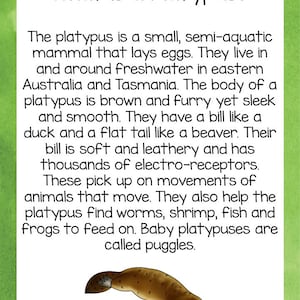 Life Cycle of a Platypus Science Curriculum Unit. Worksheets ...