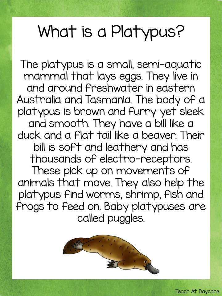 Life Cycle of a Platypus Science Curriculum Unit. Worksheets ...